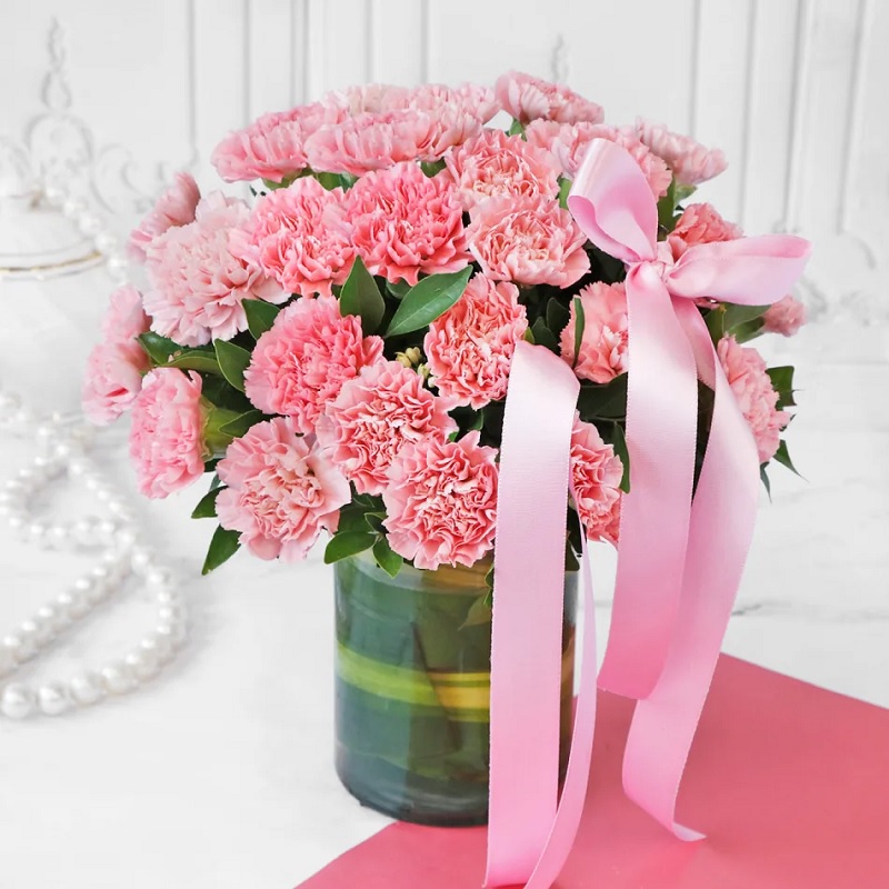 Online Carnation delivery in 3 hours | Order plants and cake | Flowera.in